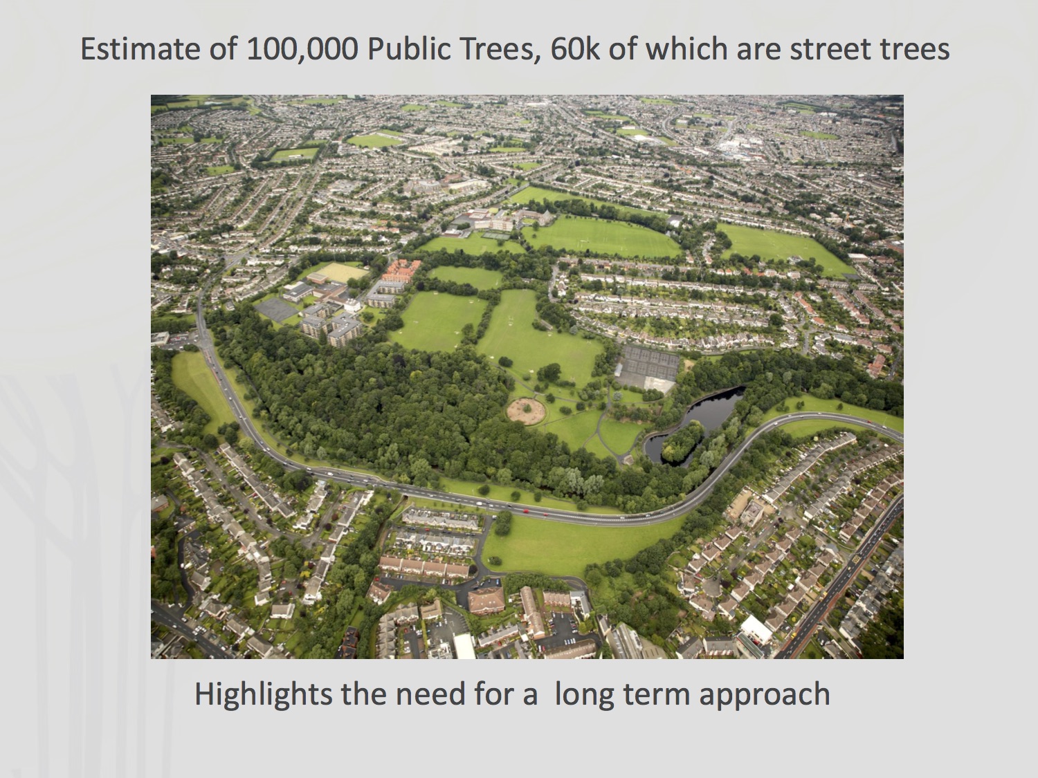 Draft Tree Strategy – Dublin City Council | Mannix Flynn